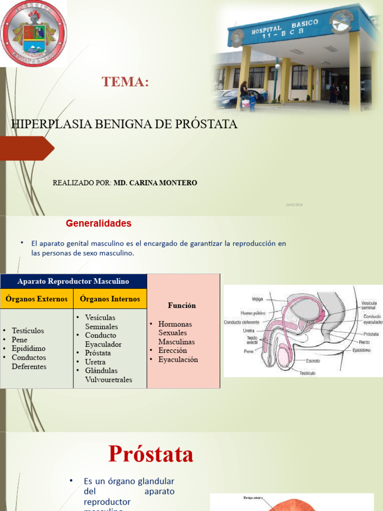 Expo HPB | PDF | Próstata | Especialidades Medicas