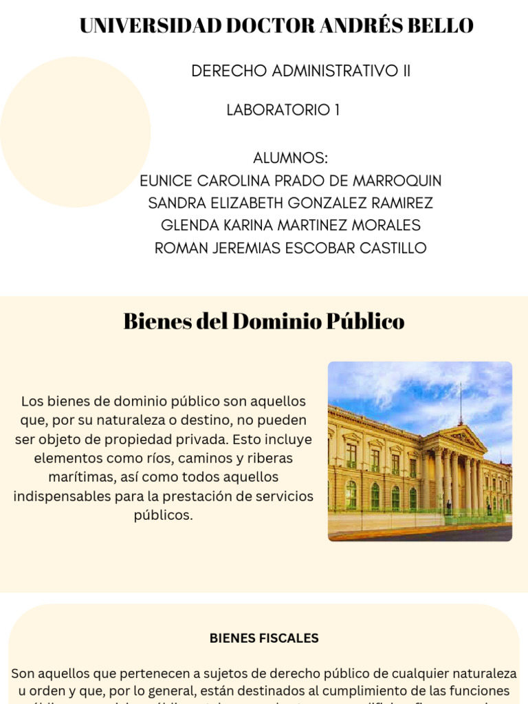 Bienes Publicos | PDF