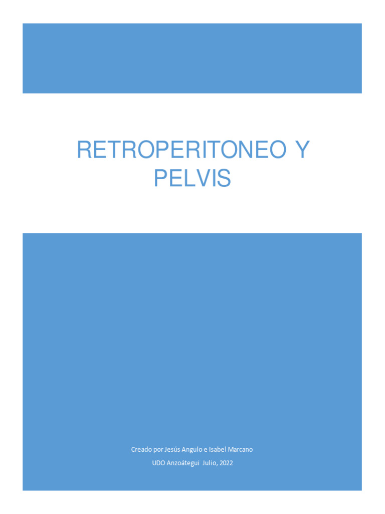 Unidad V - Retroperitoneo y Pelvis | PDF | Riñón | Pelvis