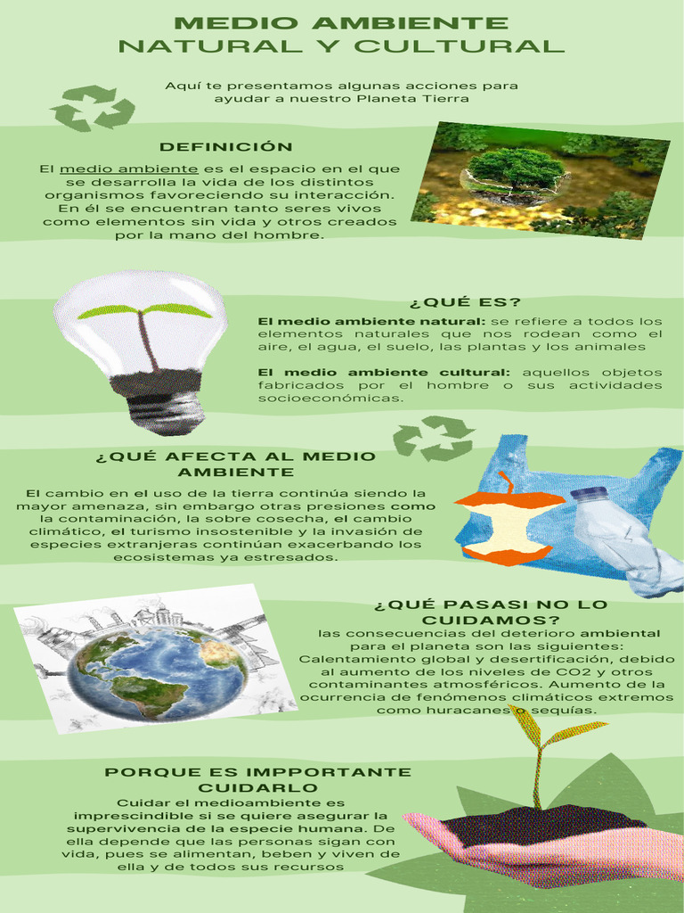 INFOGRAFÍA MEDIO AMBIENTE NATURAL Y CULTURAL | PDF