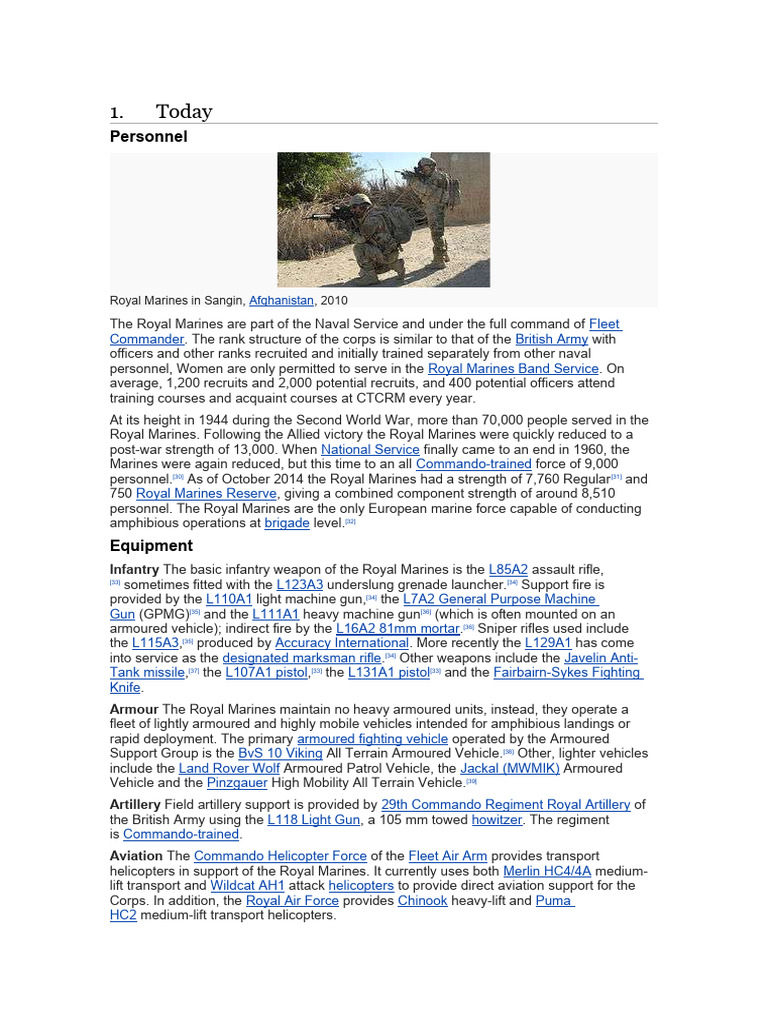 Royal Marines | PDF | Armoured Fighting Vehicles | Armoured Warfare