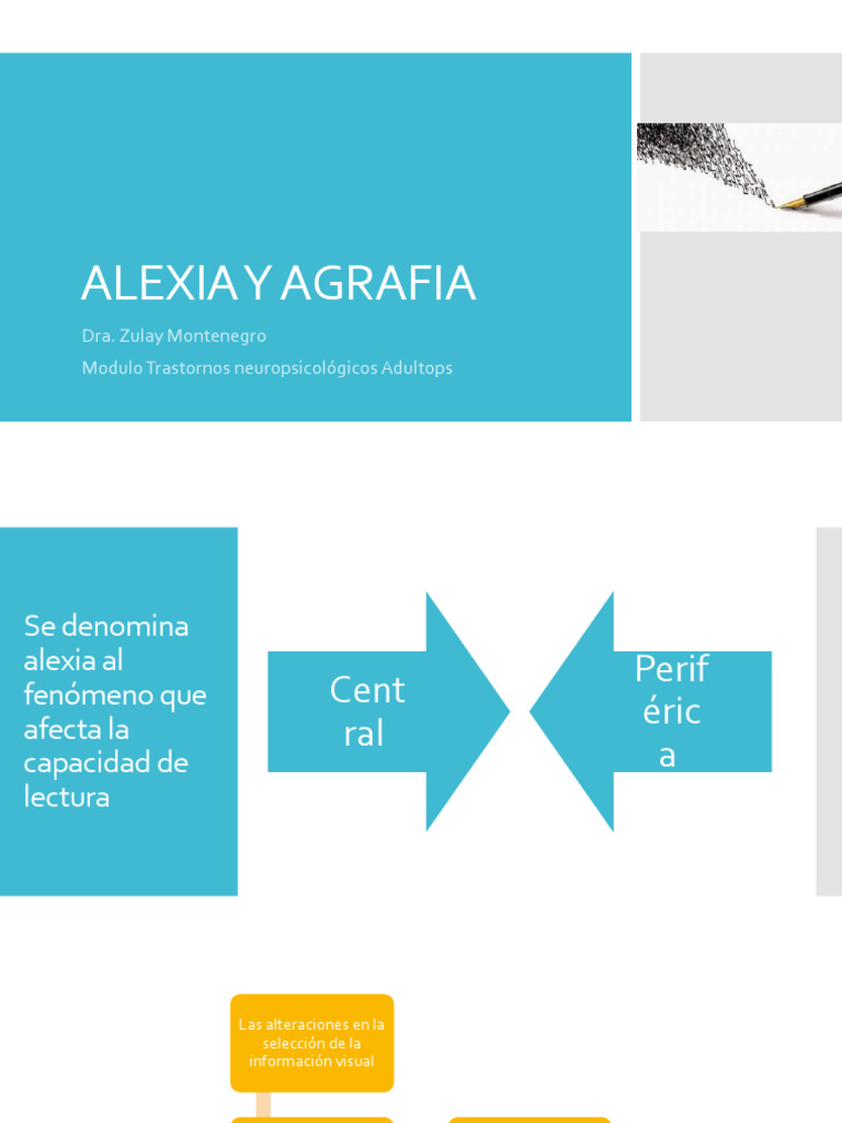 Alexia y Agrafia: Trastornos y Tipos | PDF | Palabra | Fonología