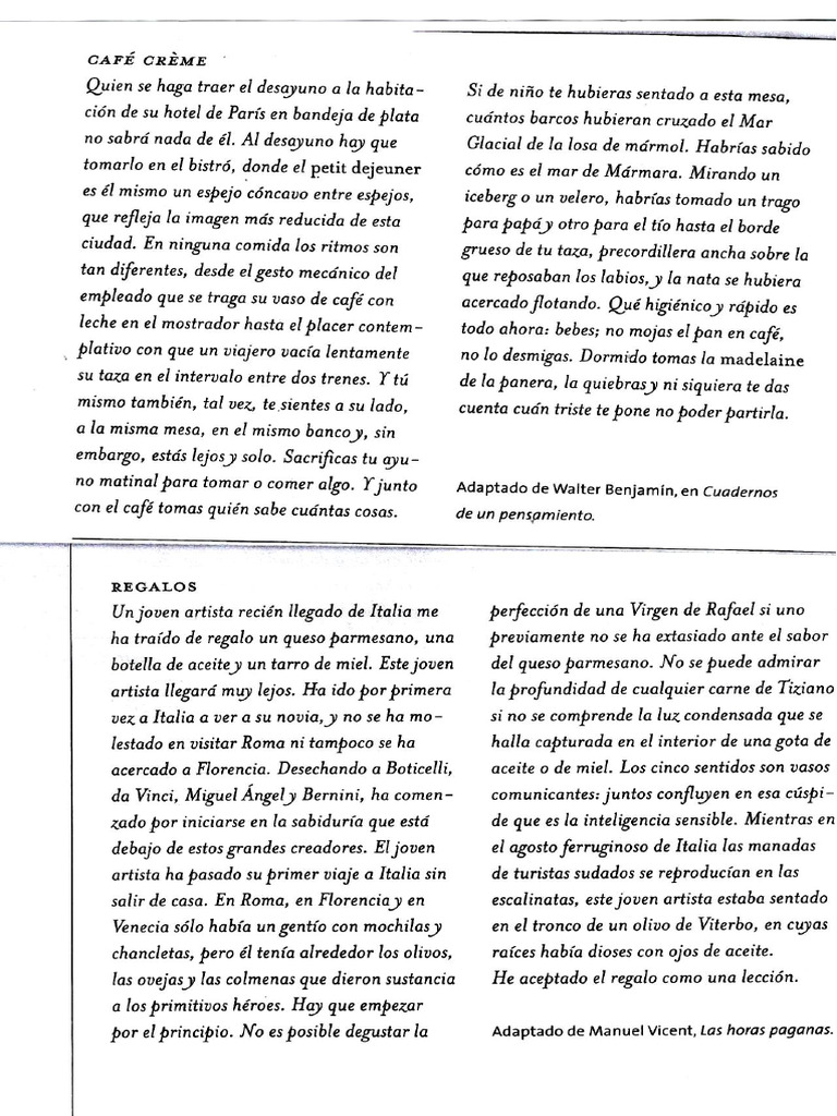 Modelos de Ensayos Sardi Valeria | PDF