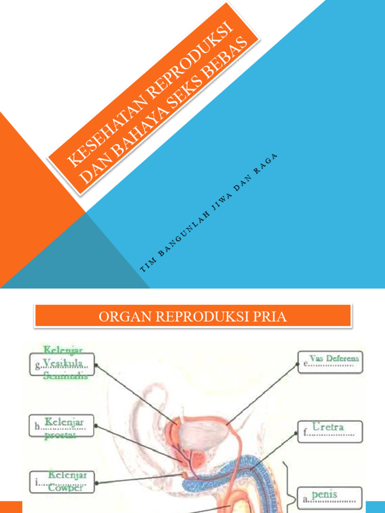 Kesehatan Reproduksi Dan Bahaya Seks Bebas | PDF