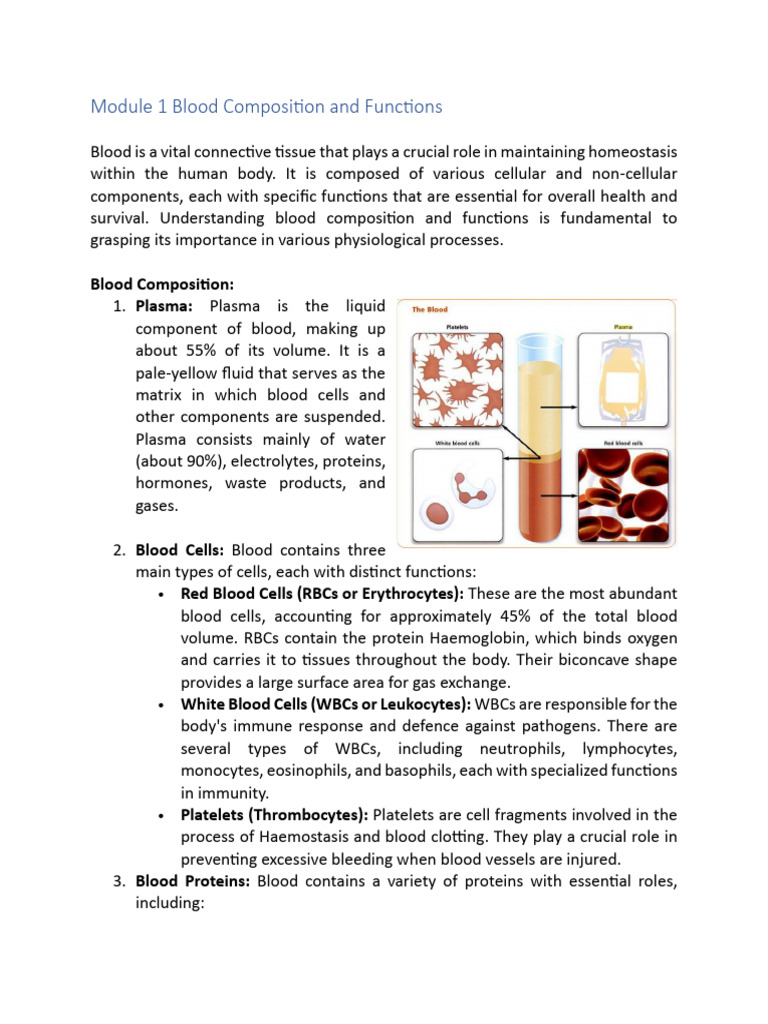 Blood Composition and Functions Explained | PDF | Blood | Blood Cell