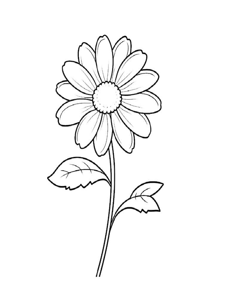 Flower Picture | PDF