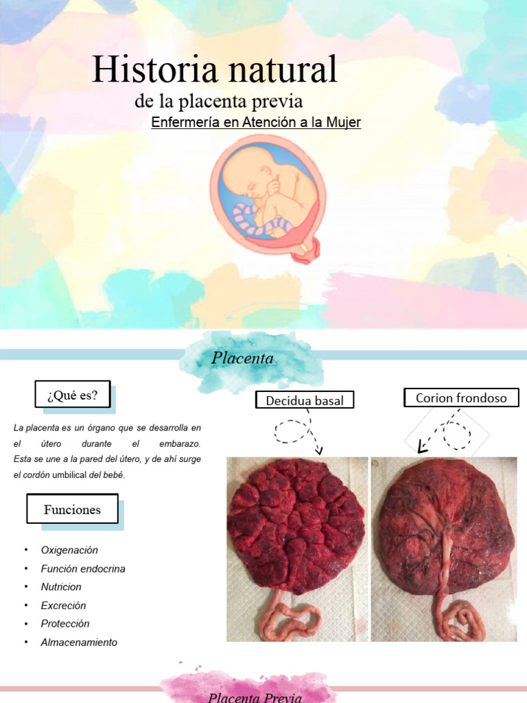Placenta | PDF | Placenta | El embarazo