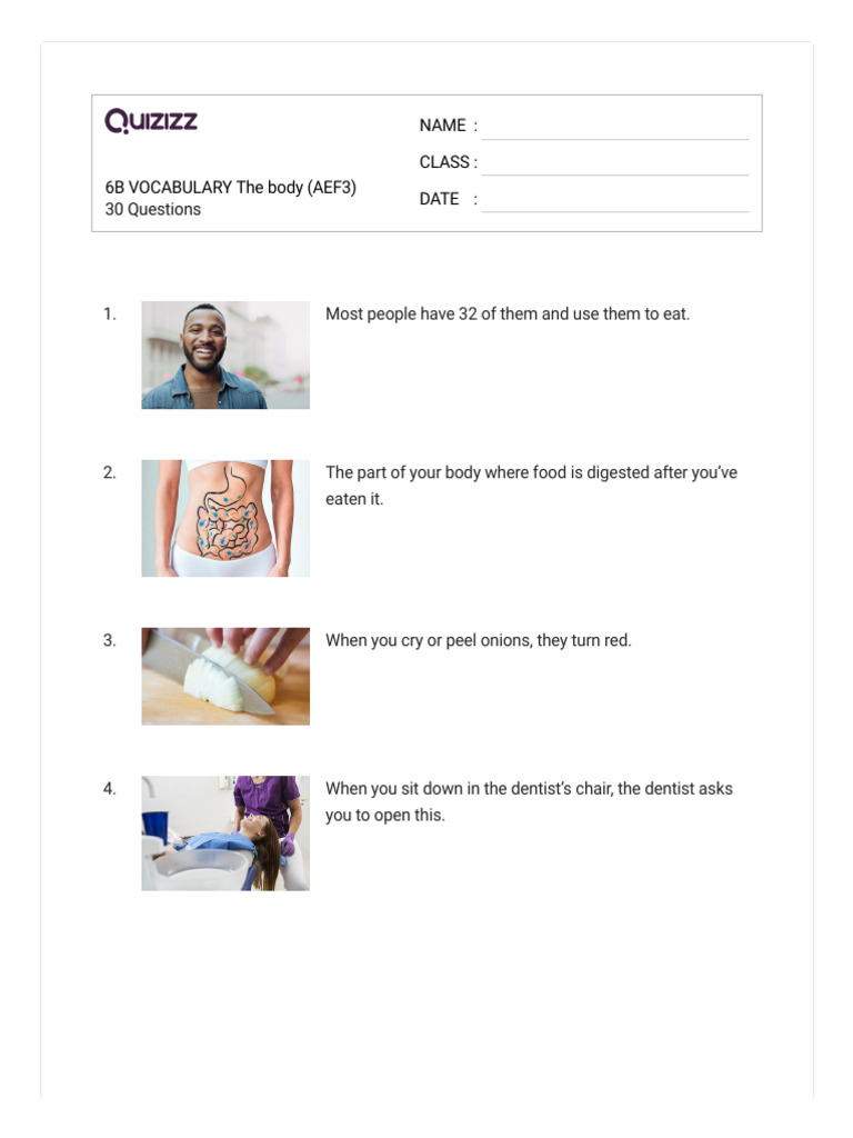 Body Vocabulary Quiz with Answers | PDF