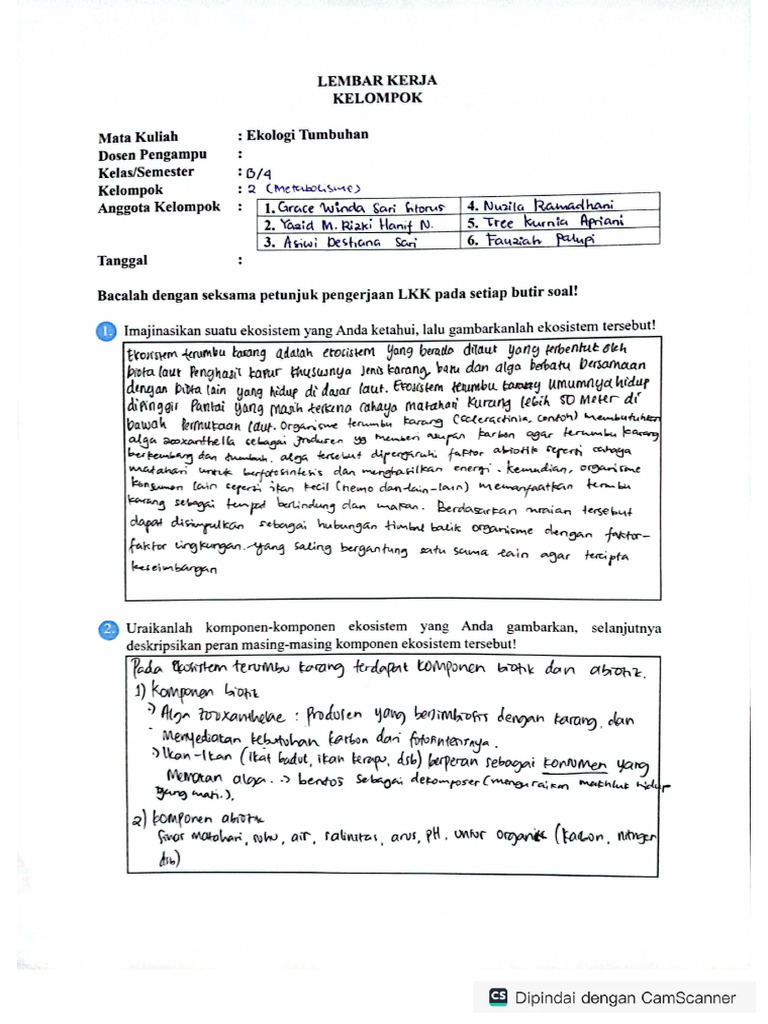 Kelompok 2 - LKM - Tugas Kelompok Ekologi Tumbuhan 1 | PDF