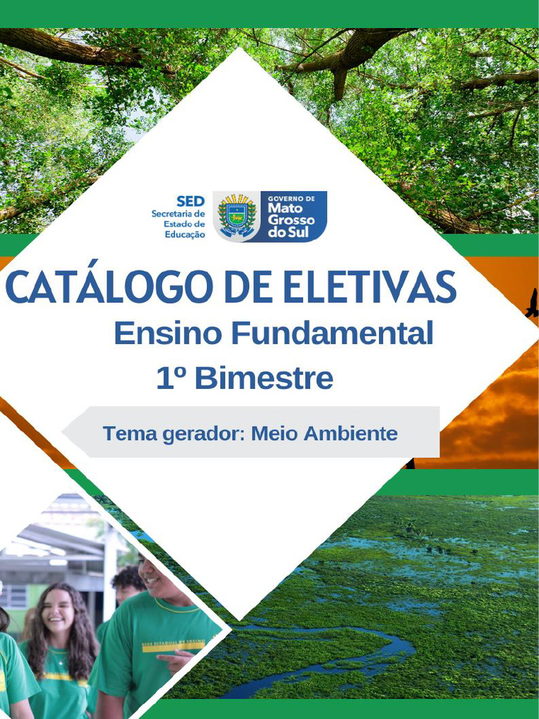Catálogo de Eletivas 2024: Meio Ambiente | PDF | Aprendizado | Pedagogia