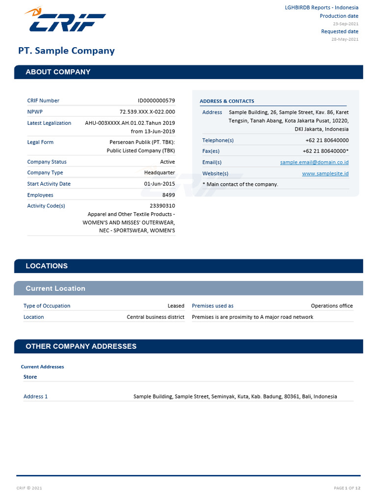 Online Light Report Sample | PDF | Indonesian Rupiah | Shareholders