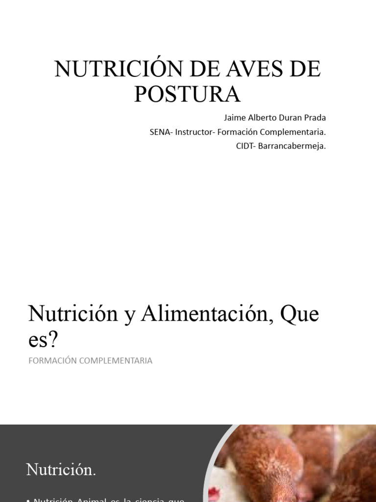 Presentacion 3 Alimentacion Basica | PDF | Carbohidratos | Digestión