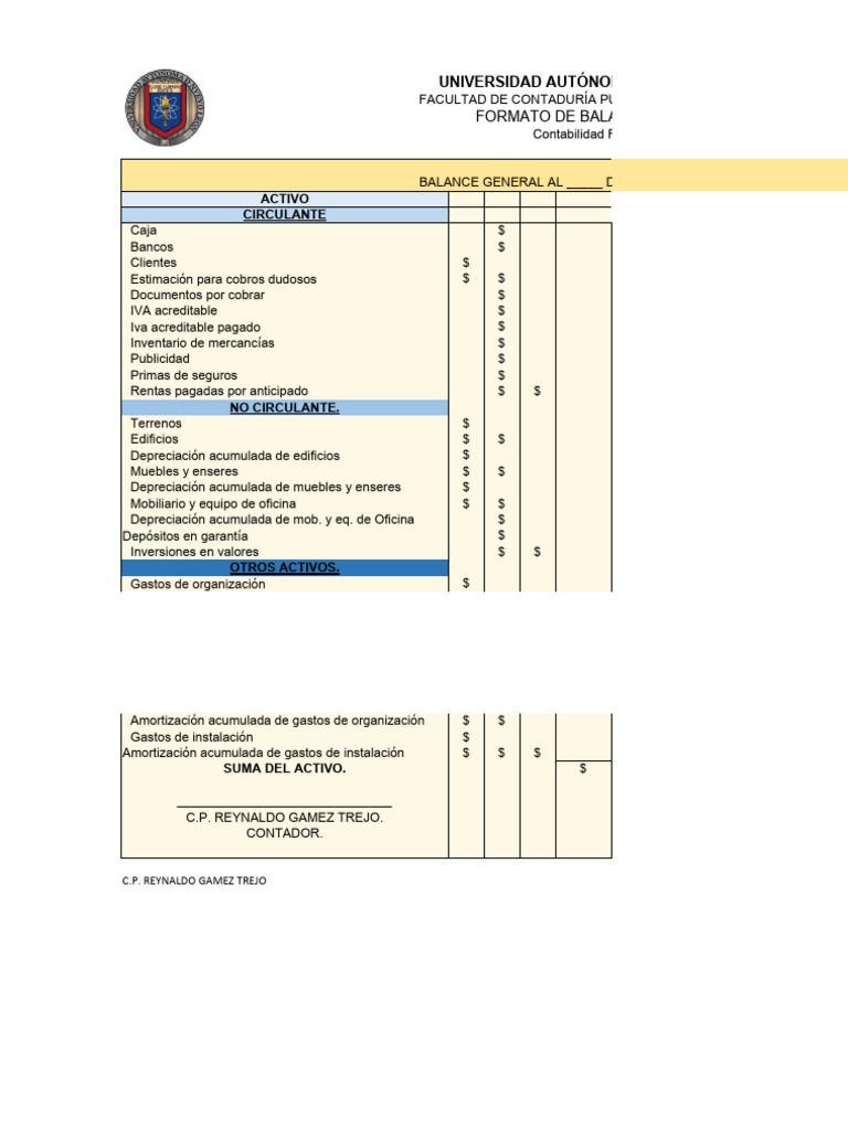 Formato Balance General | PDF | Contabilidad | Hoja de balance