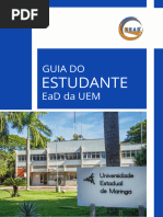 Regulamento Do Uso Dos Símbolos Da UEM | PDF | Bandeira | Universidade