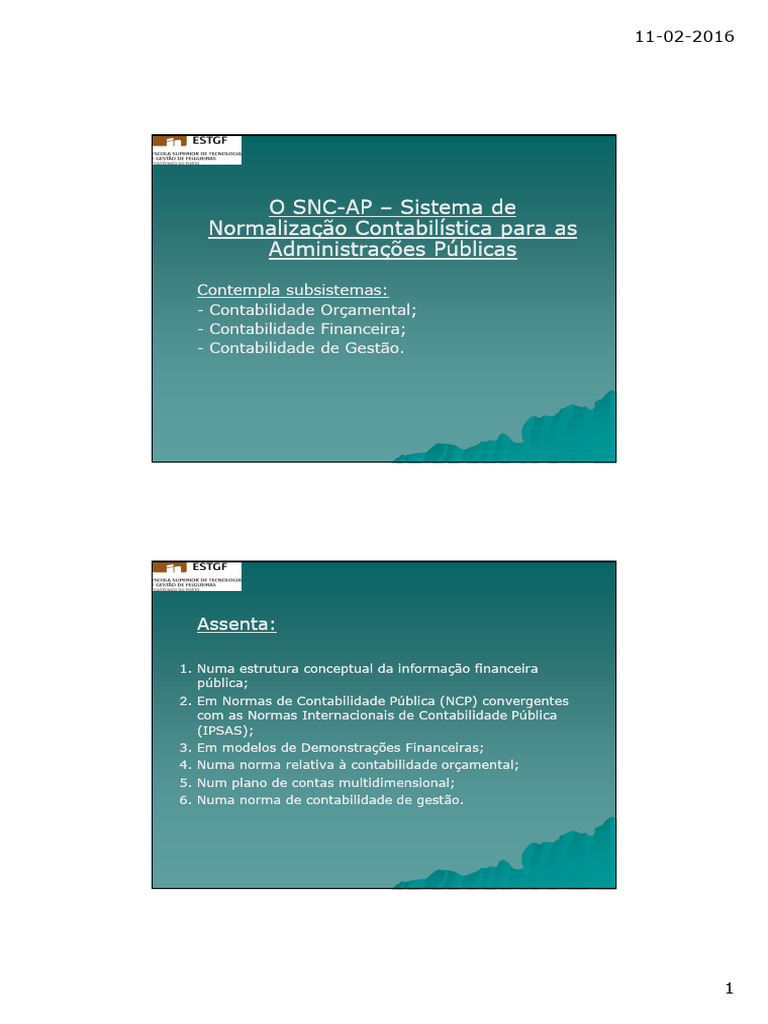 SNC-AP: Estrutura e Normas Contábeis Públicas | PDF | Contabilidade ...