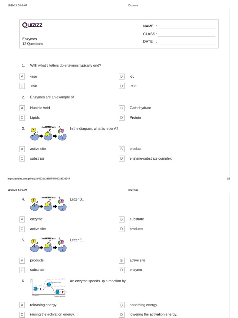 Enzyme Quiz with Answer Key | PDF | Enzyme | Active Site