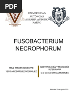 Características Del Exudado Purulento | PDF | Infección | Medicina CLINICA