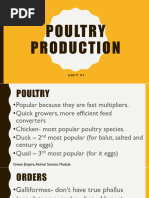Classification of Poultry | PDF | Chicken | Birds