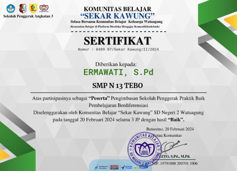 Surat Resmi Sekolah SMP N 13 Tebo | PDF