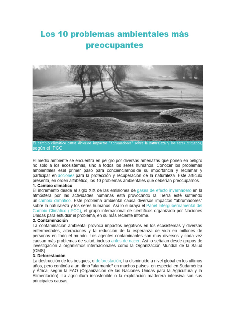 10 Problemas Ambientales Críticos | PDF | Entorno natural | Contaminación
