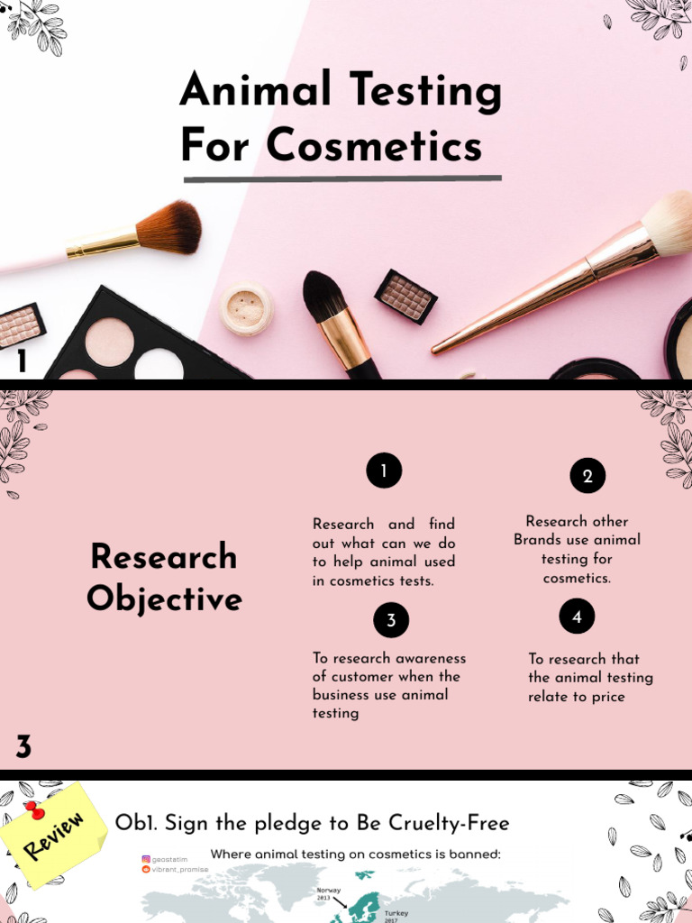 Animal Testing For Cosmetics | PDF | Cosmetics