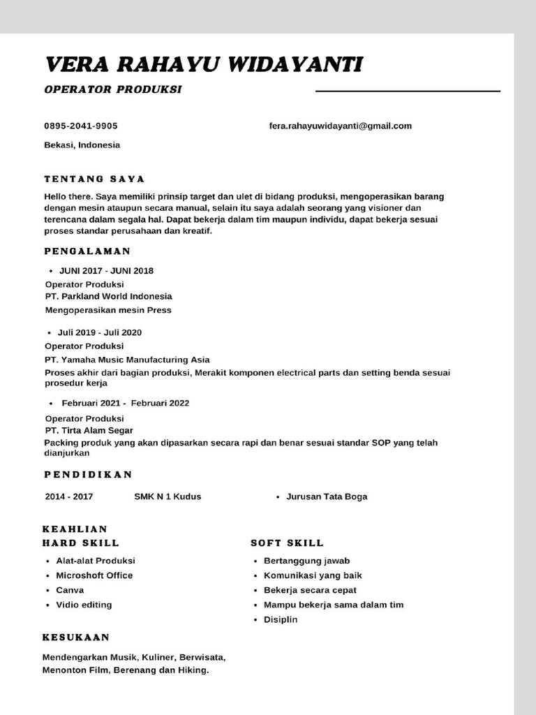 CV VERA Compressed | PDF