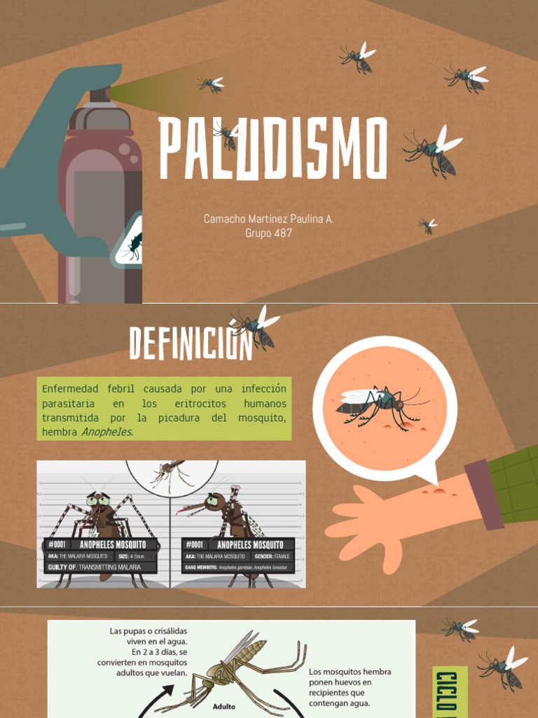 Paludismo | PDF | Plasmodium | Malaria