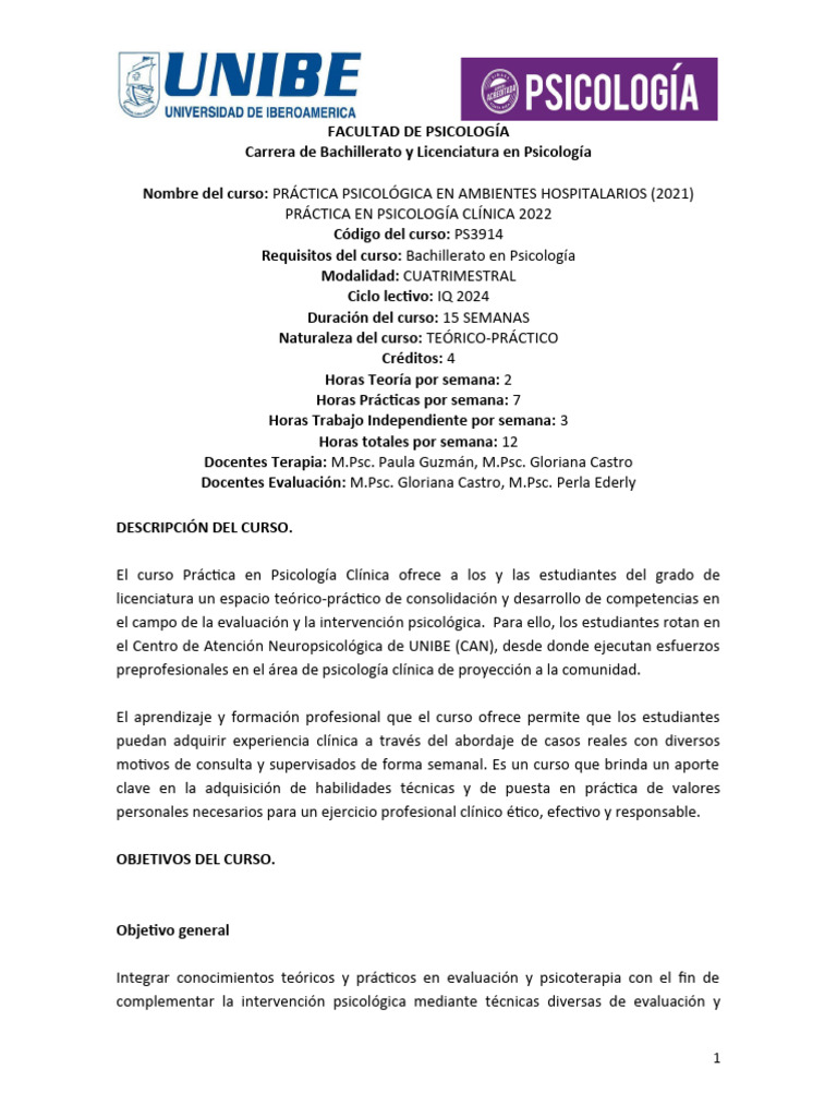 Programa Practica en Psicologia Clinica-2024 | PDF | Psicoterapia | Terapia racional de ...