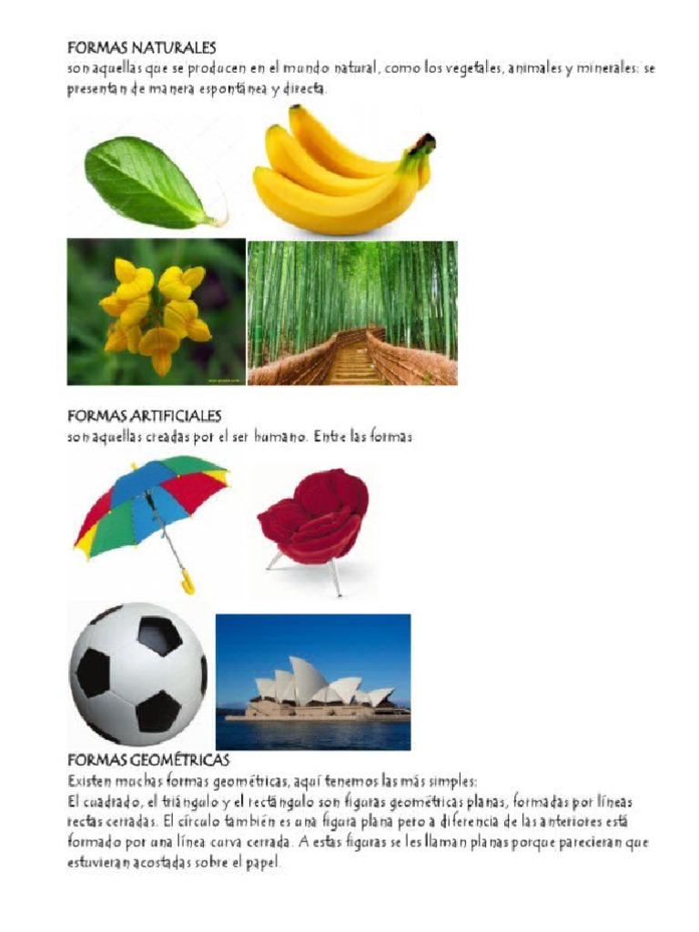 Formas Naturales | PDF