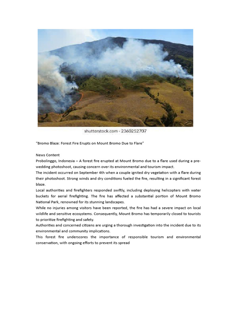 News Item Text RODIYAH | PDF