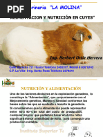 Anatomia y Caracteristicas Del Cuy | PDF | Vértebra | Cráneo
