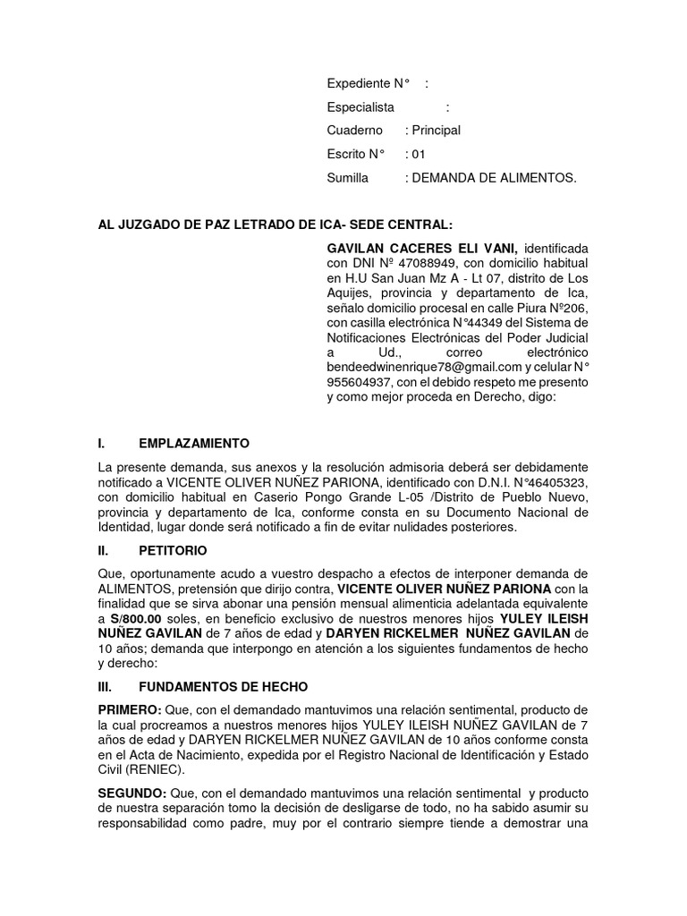 Demanda - Archivo Final A | PDF | Demanda judicial | Debido al proceso