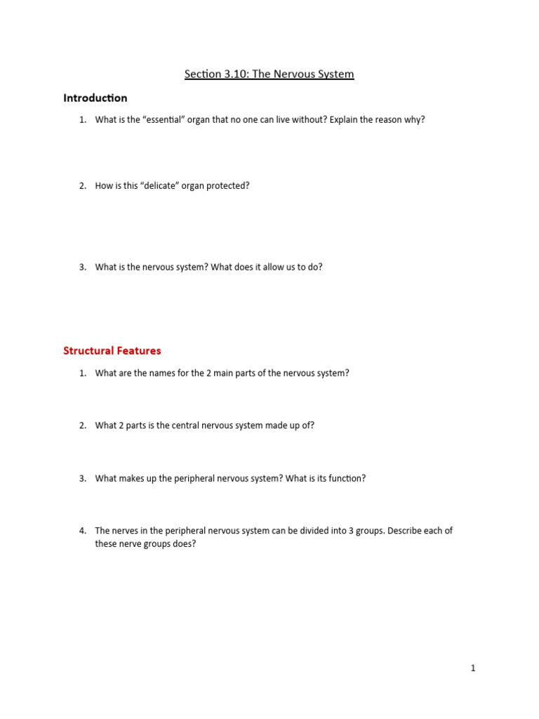 Section 3.10 The Nervous System Guided Notes | PDF