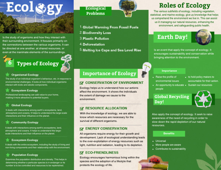 Brochure Ecology | PDF | Ecology | Natural Environment