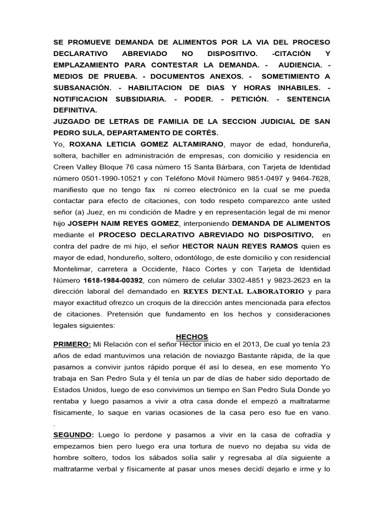 Demanda de Alimentos Roxana | PDF