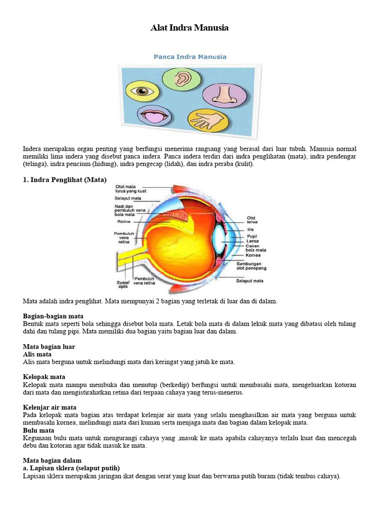 IPA Alat Indra Manusia | PDF | Kesehatan Holistik
