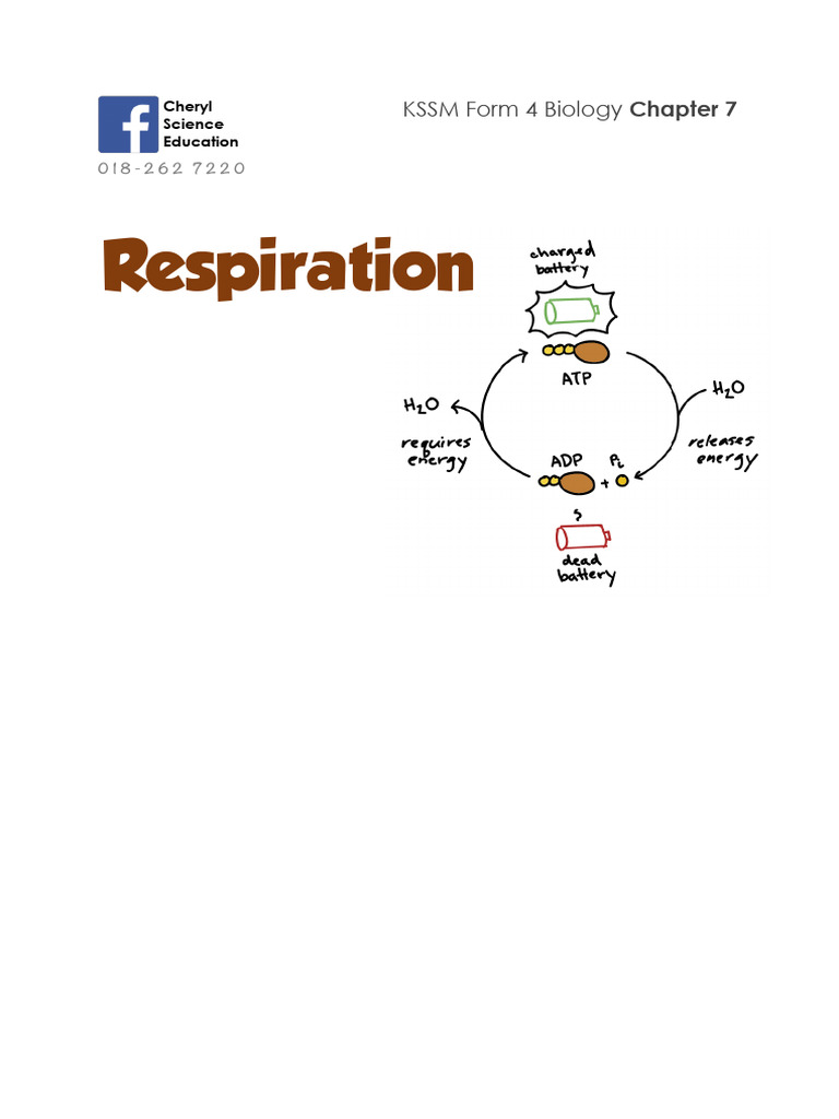 # Form 4 Chapter 7 Cellular Respiration (Student Copy) | Download Free ...