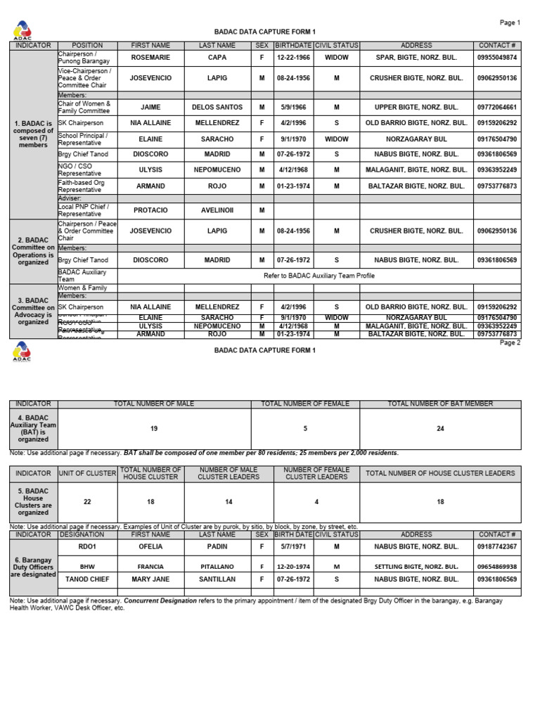 Badac Final Report 2022 | PDF | Health Care