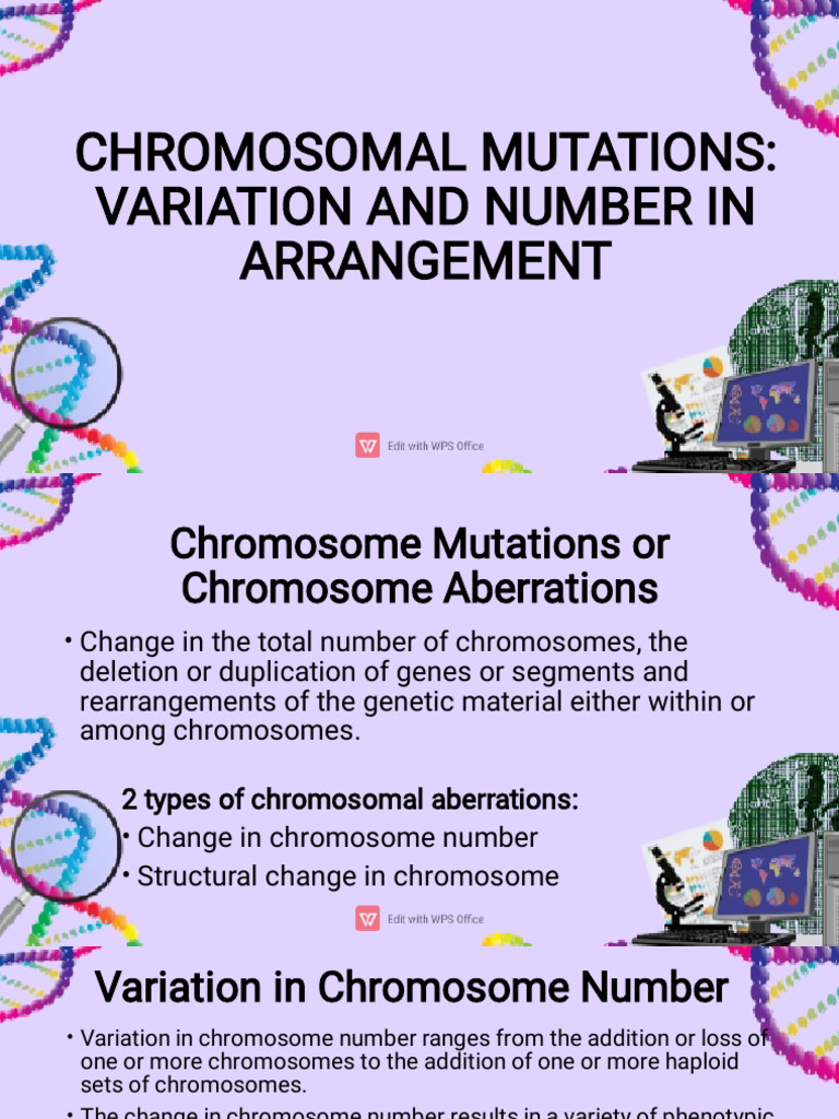 Chromosomal Mutations Apple Ginga1 | PDF | Ploidy | Gene Duplication