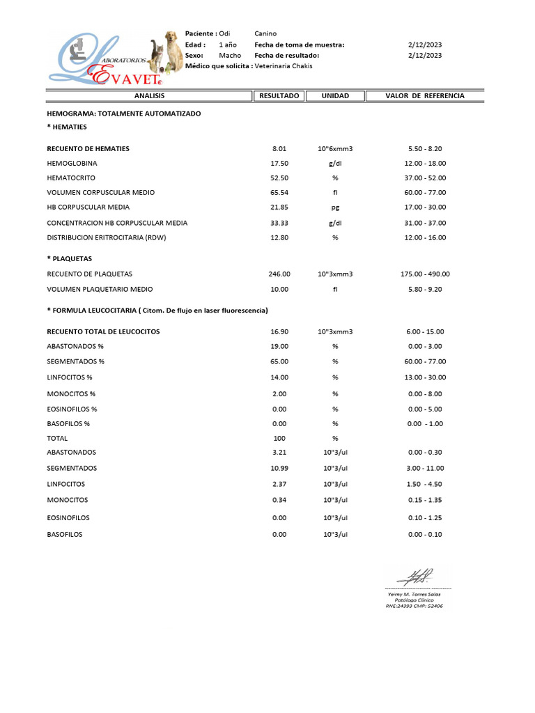 Odi-Canino . | PDF | Sangre | Pruebas medicas
