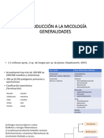 Morfología y Estructura de Hongos | PDF | Mitosis | Reproducción sexual