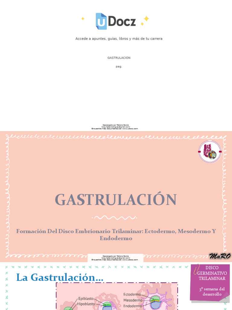 Gastrulacion 113432 Downloadable 3906398 | PDF | Cambio | Reproducción