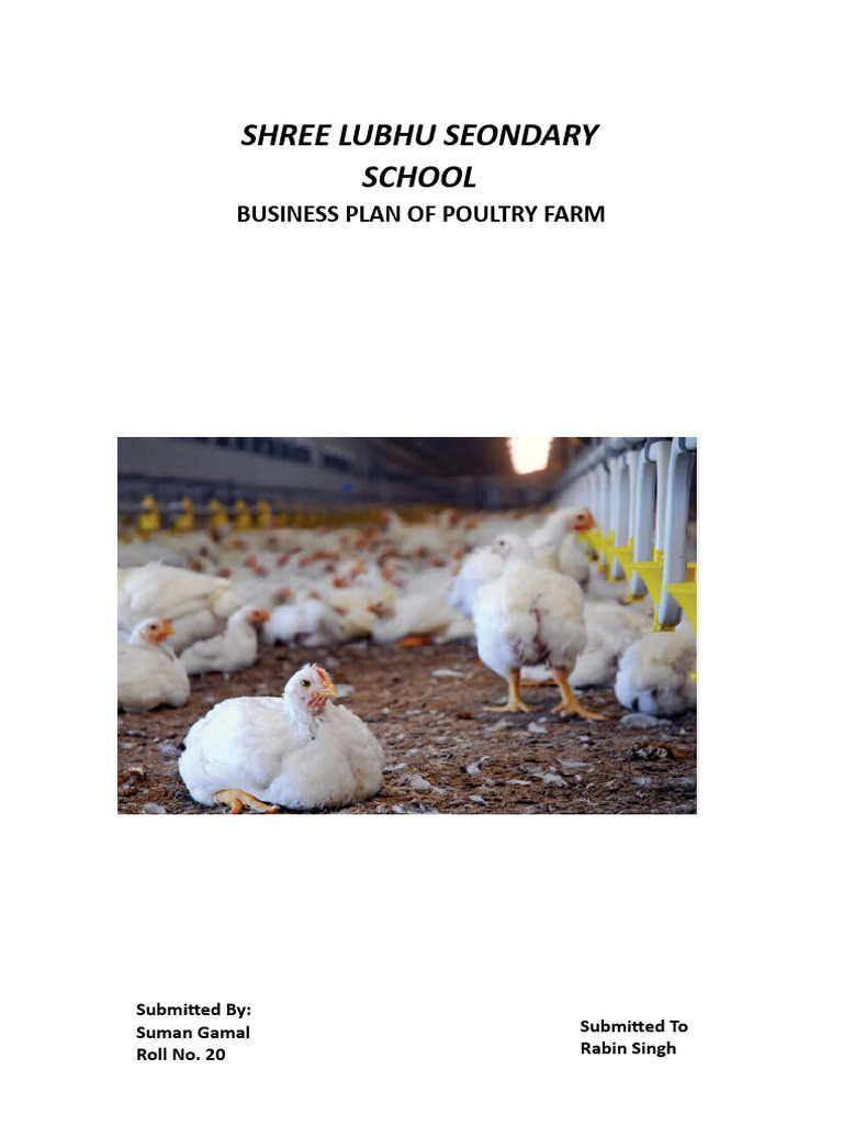 Summary | PDF | Poultry Farming | Poultry