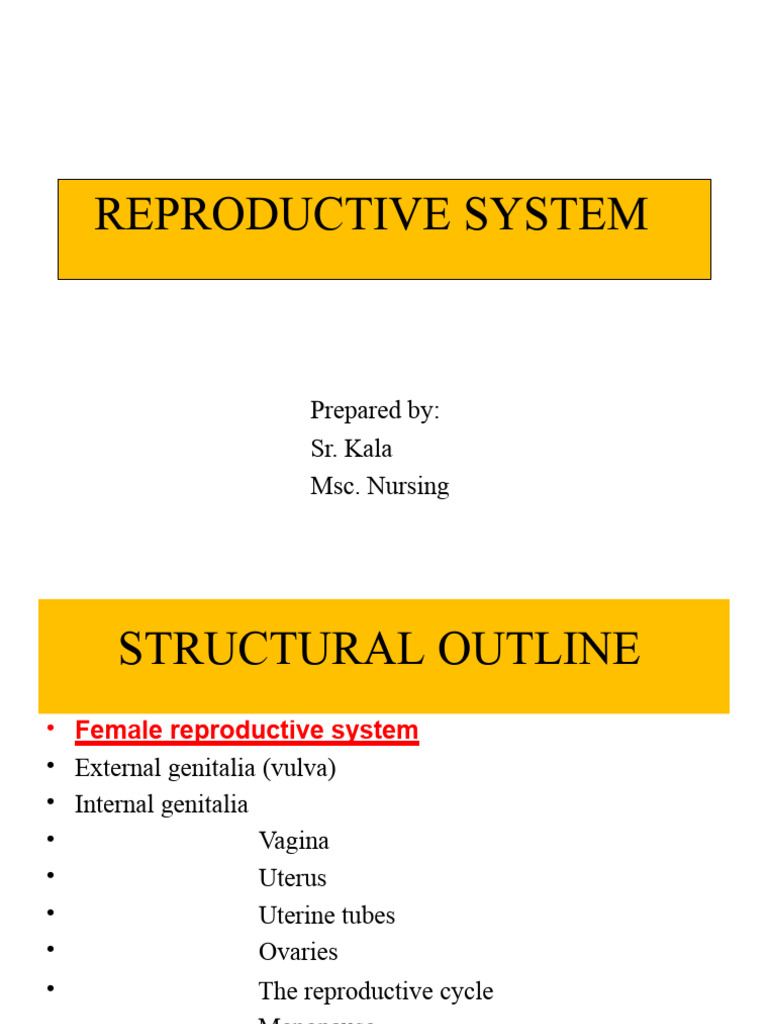 Reproductive System | PDF | Social Science | Wellness