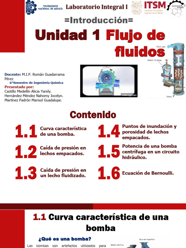 Introducción Flujo de Fluidos | PDF | Bomba | Gases
