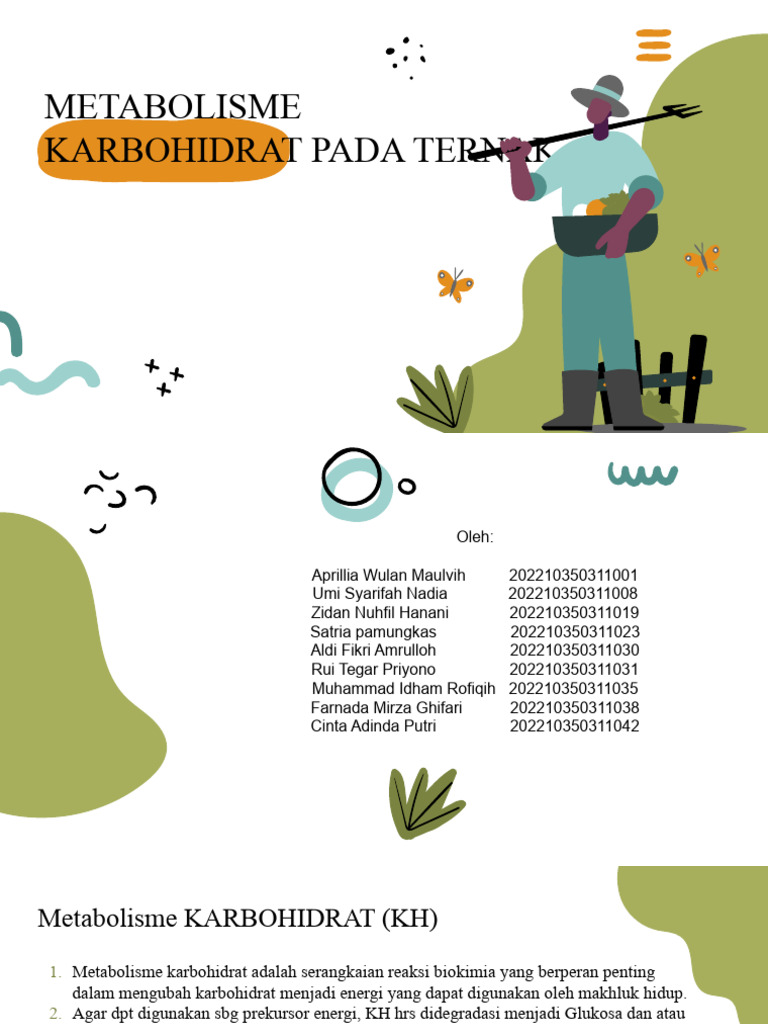 Metabolisme Karbohidrat Ruminansia | PDF