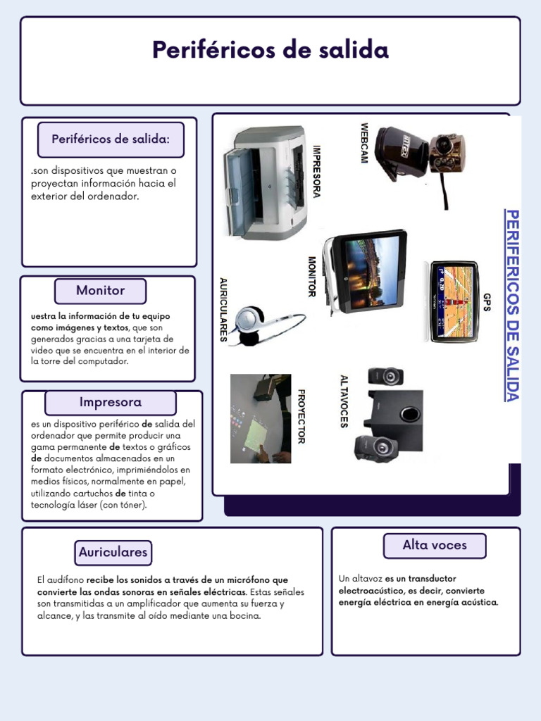 Dispositivos Perifericos de Salida | PDF