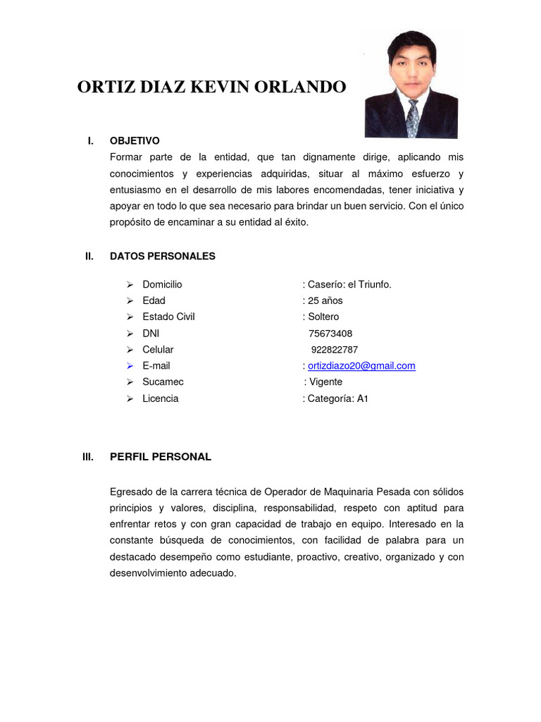 Ortiz CV | PDF | Microsoft