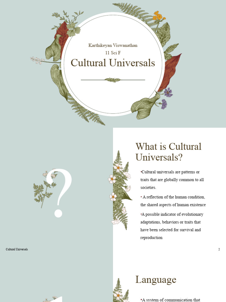 Cultural Universals | PDF | Economies | Morality