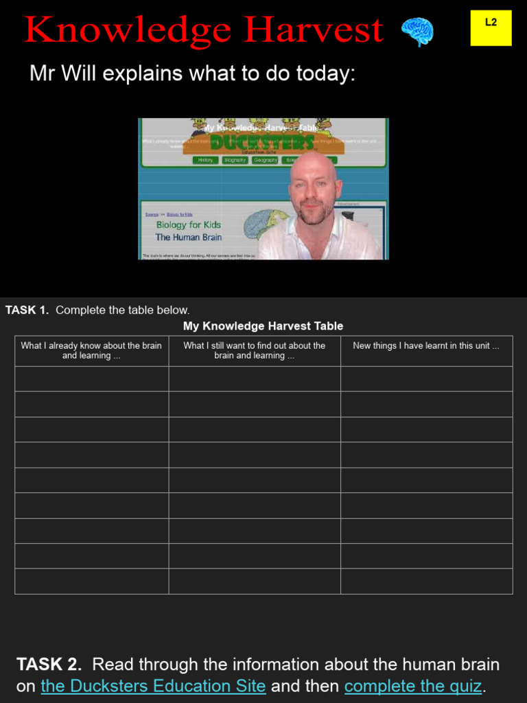 Lesson 2 - C4 Brainwave Knowledge Harvest | PDF